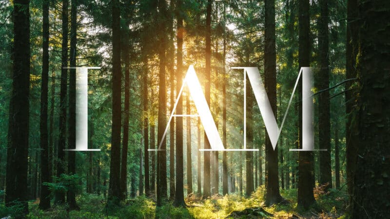 Sermon Series | West Shore Free Church