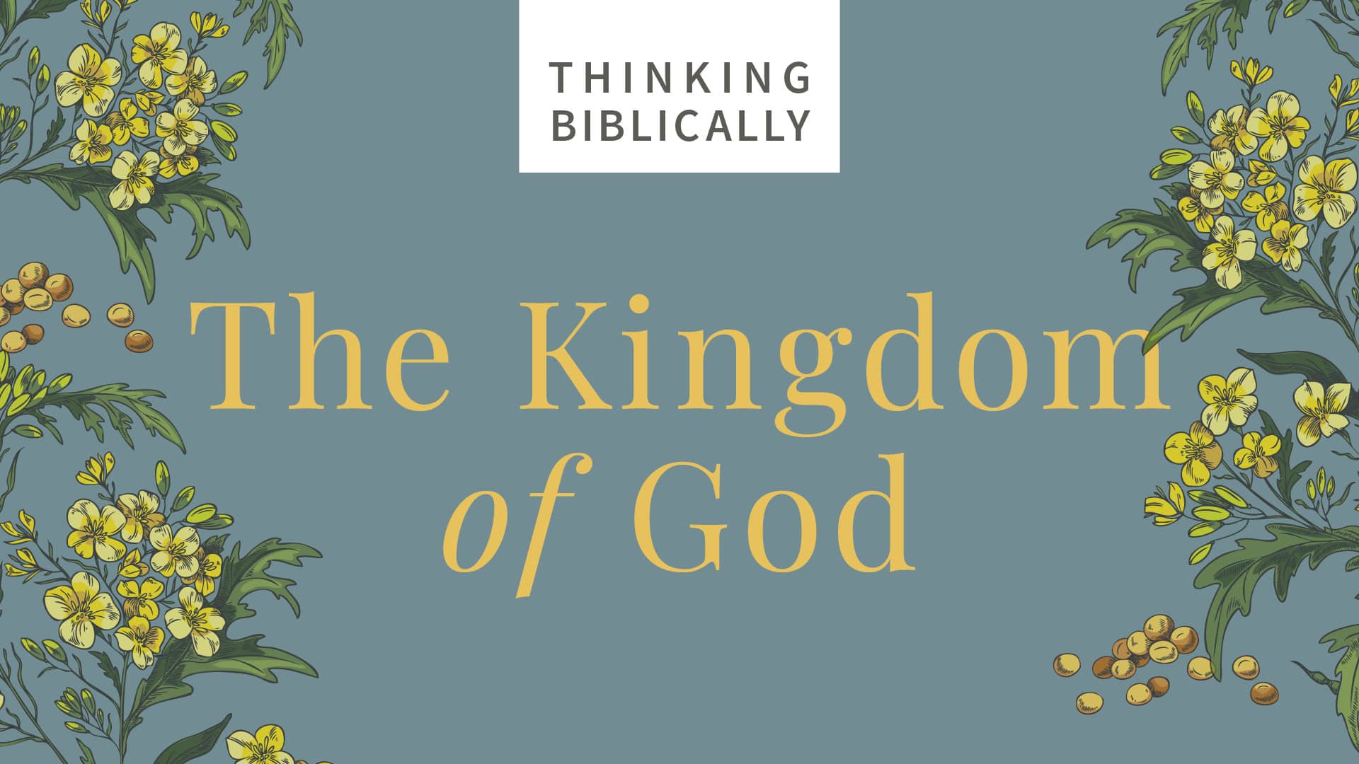 The Kingdom of God Archives | West Shore Free Church